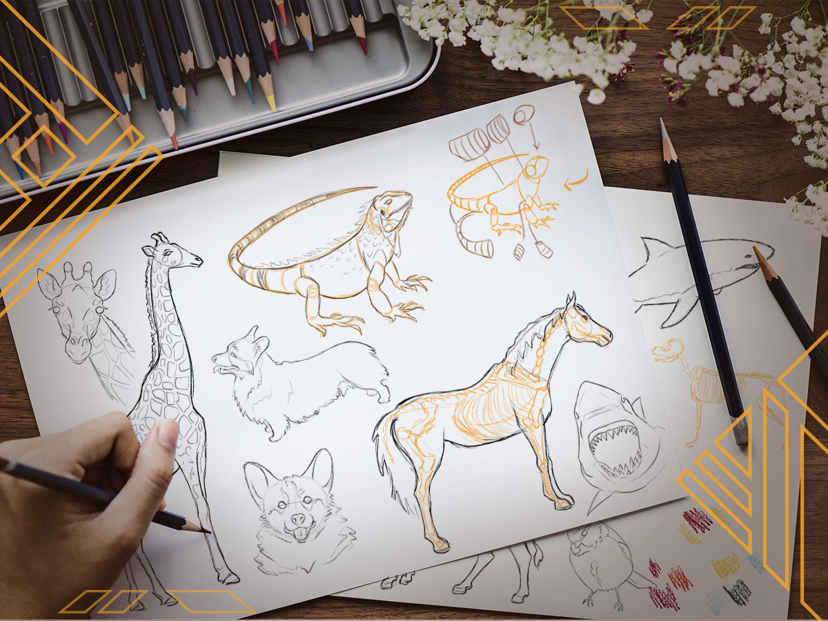 Le meilleur secret pour apprendre à dessiner des animaux - Du rêve au ...